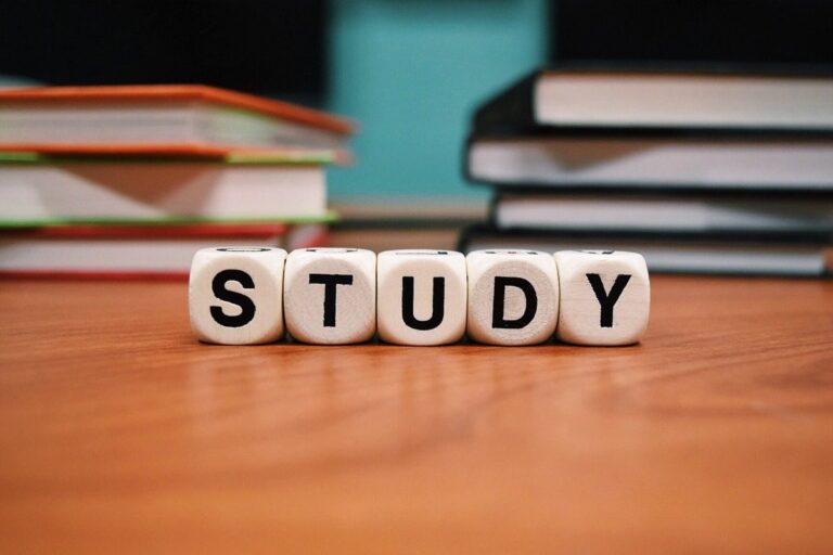 CNNを日本で視聴したい！CNNを日本で観る3つの方法は？ | MULTIPS